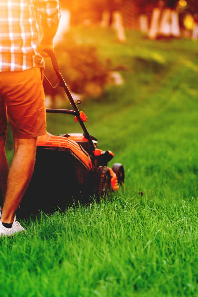 10 Lawn Care Tips for Your Yard This Spring | Big Easy Lawn Care